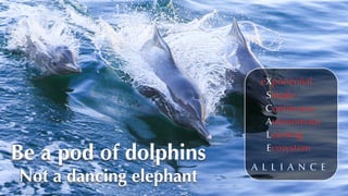 BE A POD OF DOLPHINS, NOT A DANCING ELEPHANT | PDF
