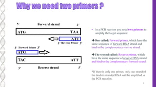 PCR.pptx