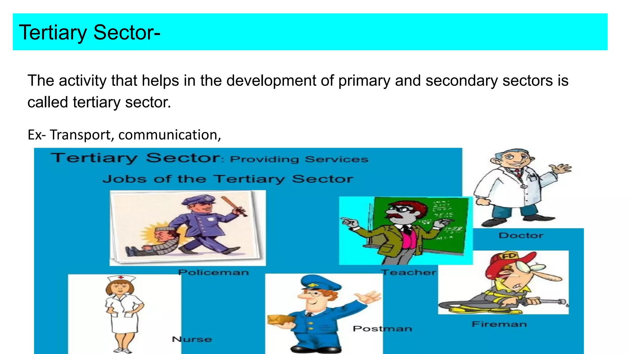 class-X Sectors of Indian Economy | PDF