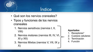 Nervios craneales | PPTX