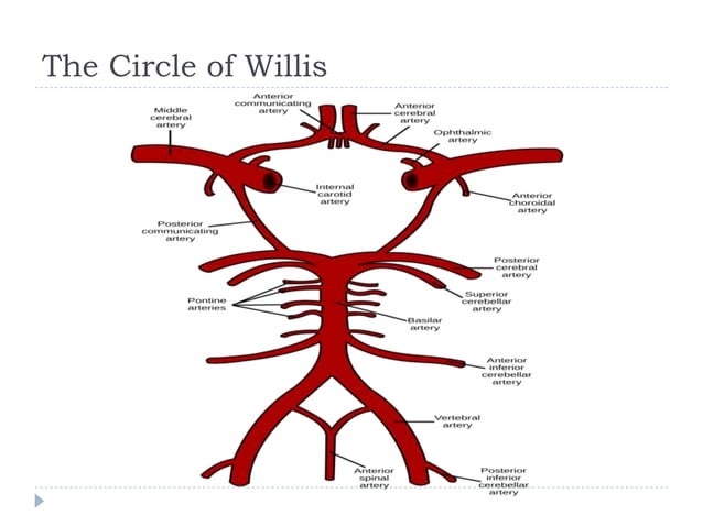 Cerebral blood flow & intracranial pressure | PPT