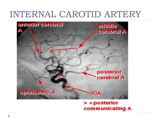 Cerebral blood flow & intracranial pressure | PPT