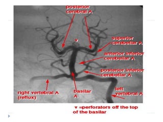 Cerebral blood flow & intracranial pressure | PPTX
