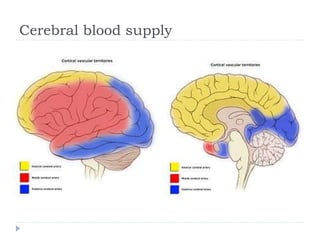 Cerebral blood flow & intracranial pressure | PPTX