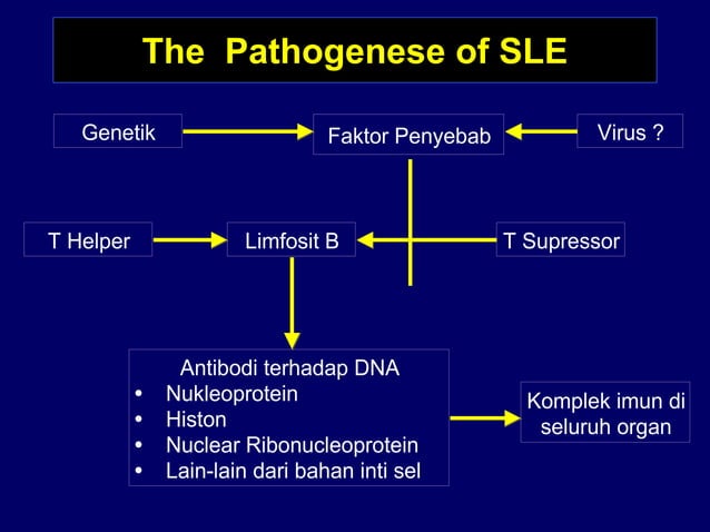 SYSTEMIC LUPUS ERITHEMATOSUS INTERACTIVE | PPT