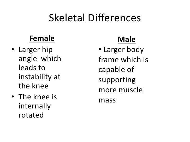 Difference Between Male And Female Anatomy