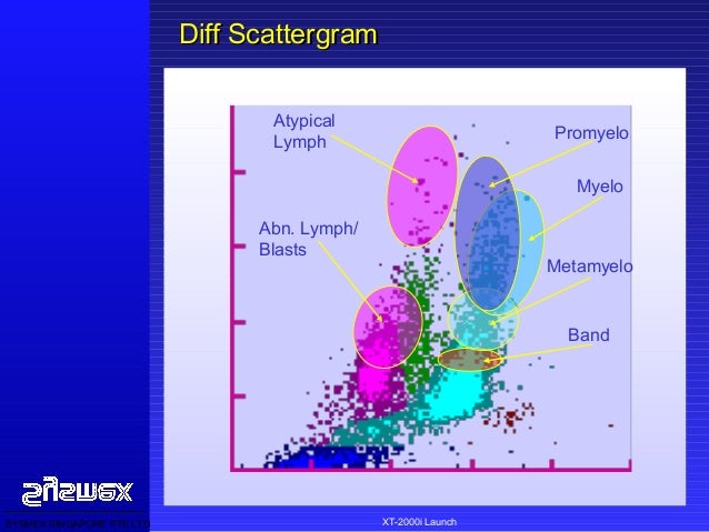 Xt 2000i cell counter Autoanalyser