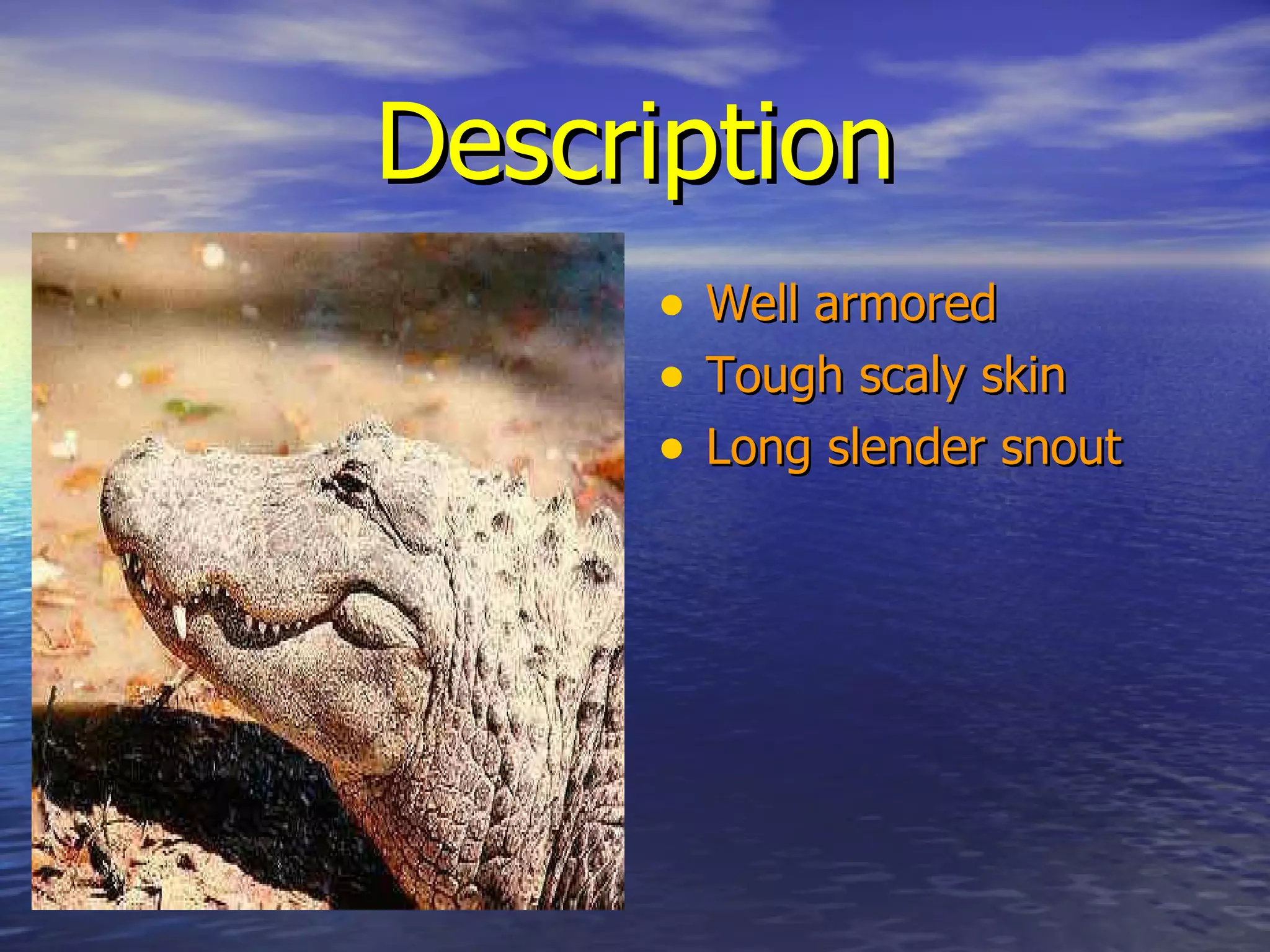 X:\ticd2010\carmen\crocodile charles | PPT
