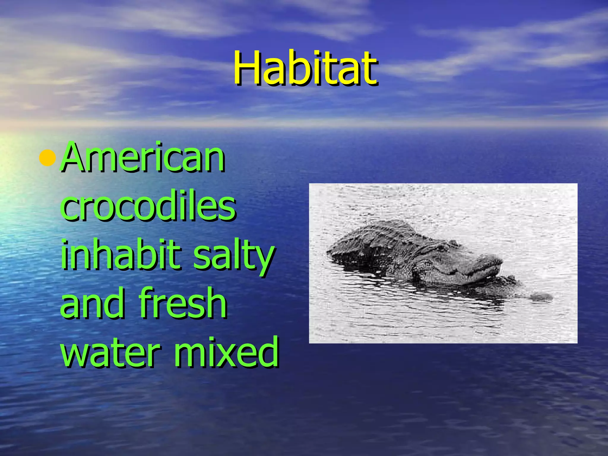 X:\ticd2010\carmen\crocodile charles | PPT