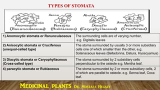 4-_Medicinal_plants_-_plant_tissues.pptx