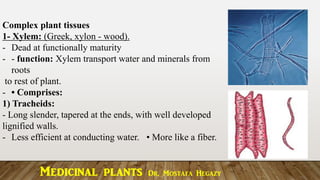 4-_Medicinal_plants_-_plant_tissues.pptx