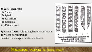 4-_Medicinal_plants_-_plant_tissues.pptx