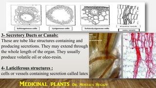 4-_Medicinal_plants_-_plant_tissues.pptx