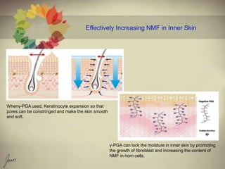 PGA Introduction | PPT