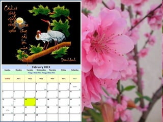 Xuan hop mat - Van Phung - hop ca - Bui Phuong- | PPT