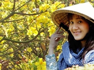 Xuan Hop Mat - Van Phung - hop ca - BP.pps