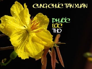 Xuan Hop Mat - Van Phung - hop ca - BP.pps