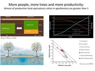 Agroforestry: a trend in global land use | PPT