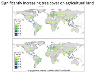 Agroforestry: a trend in global land use | PPT