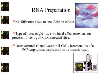 Dna microarray application in vp research mehran | PPT