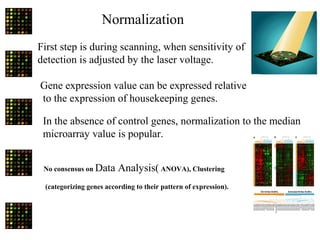 Dna microarray application in vp research mehran | PPT