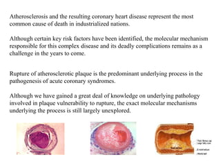 Dna microarray application in vp research mehran | PPT