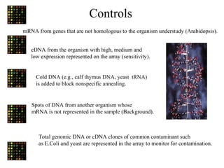 Dna microarray application in vp research mehran | PPT