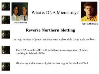 Dna microarray application in vp research mehran | PPT