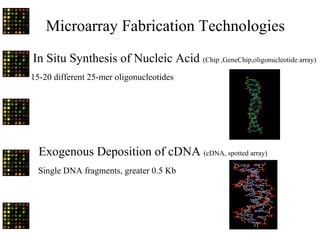 Dna microarray application in vp research mehran | PPT