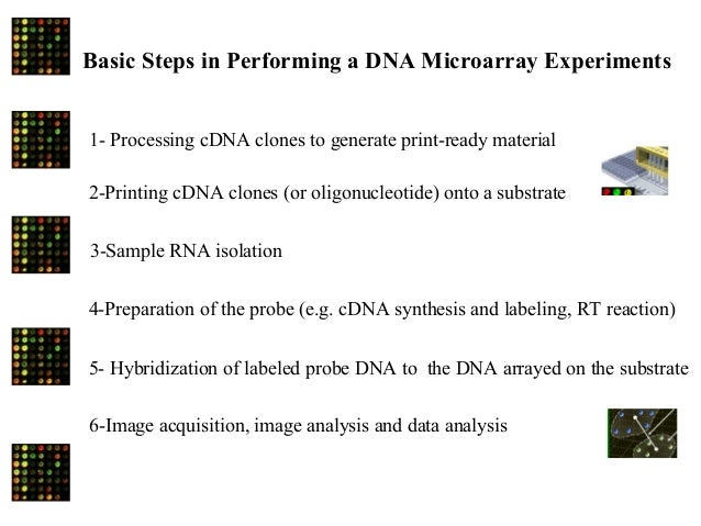 Dna microarray application in vp research mehran