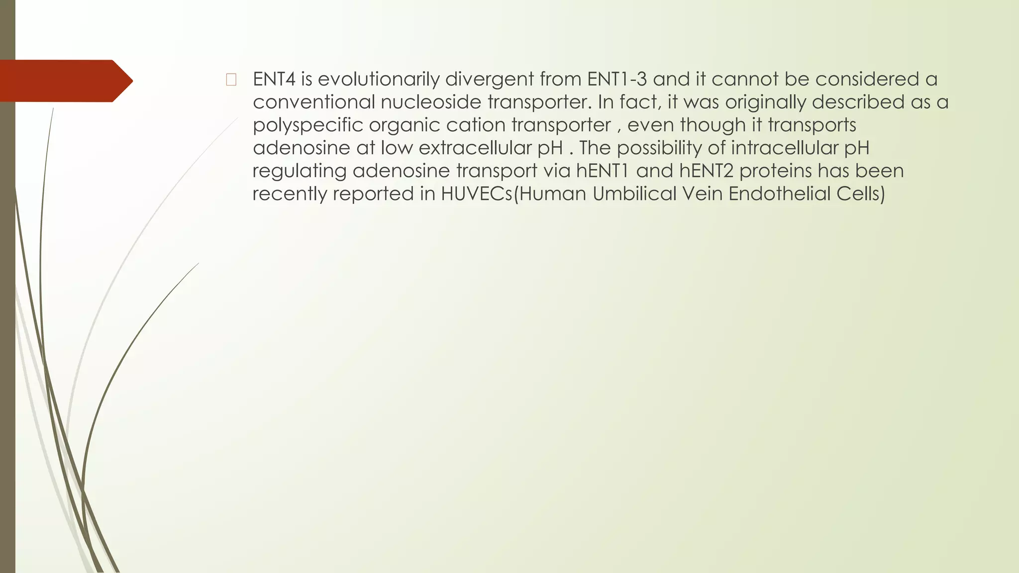 Nucleoside transporters | PPTX