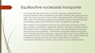 Nucleoside transporters | PPTX