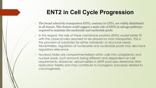 Nucleoside transporters | PPTX