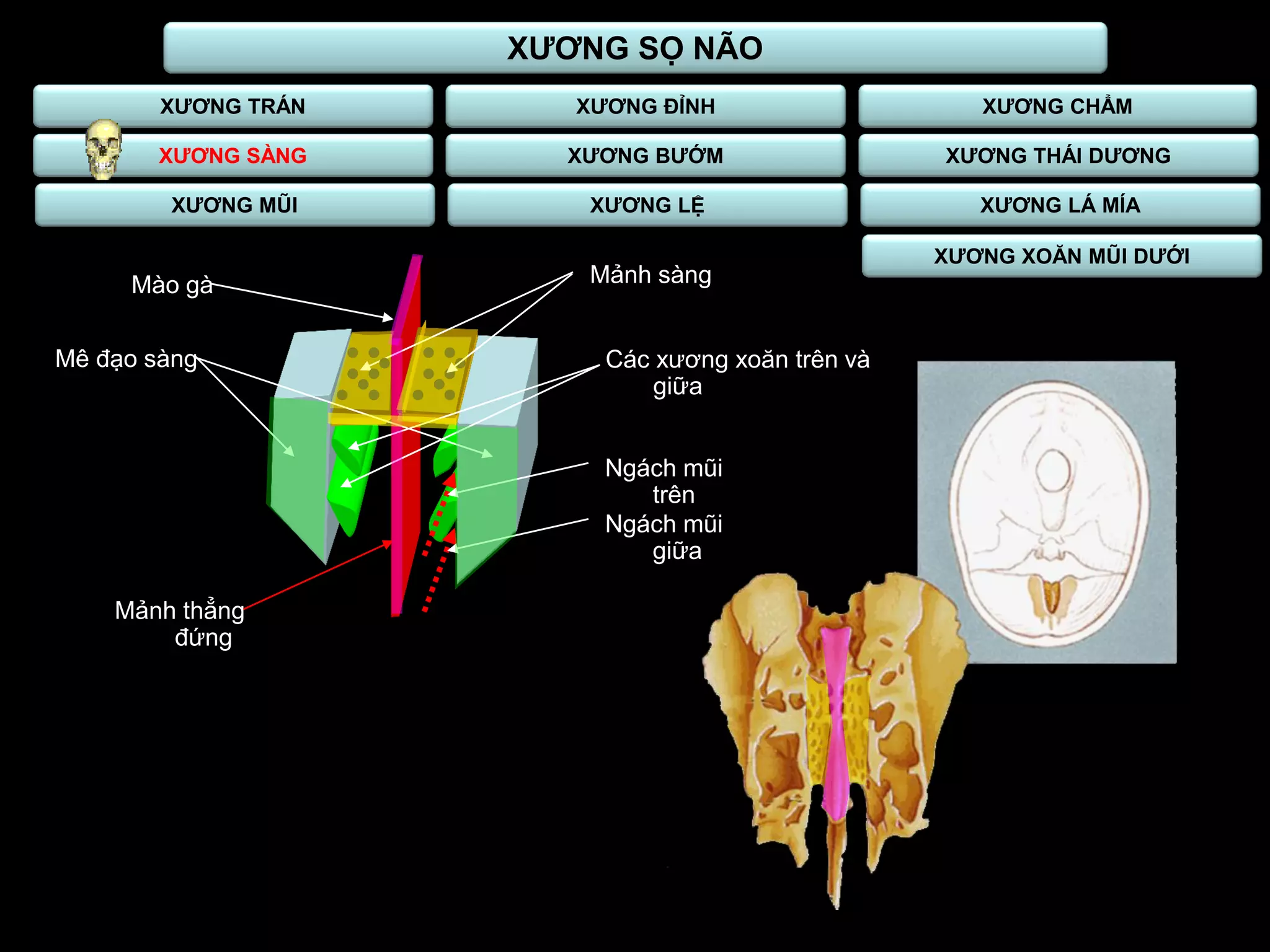 GIẢI PHẪU XƯƠNG ĐẦU MẶT THẦY PHẠM ĐĂNG DIỆU | PDF