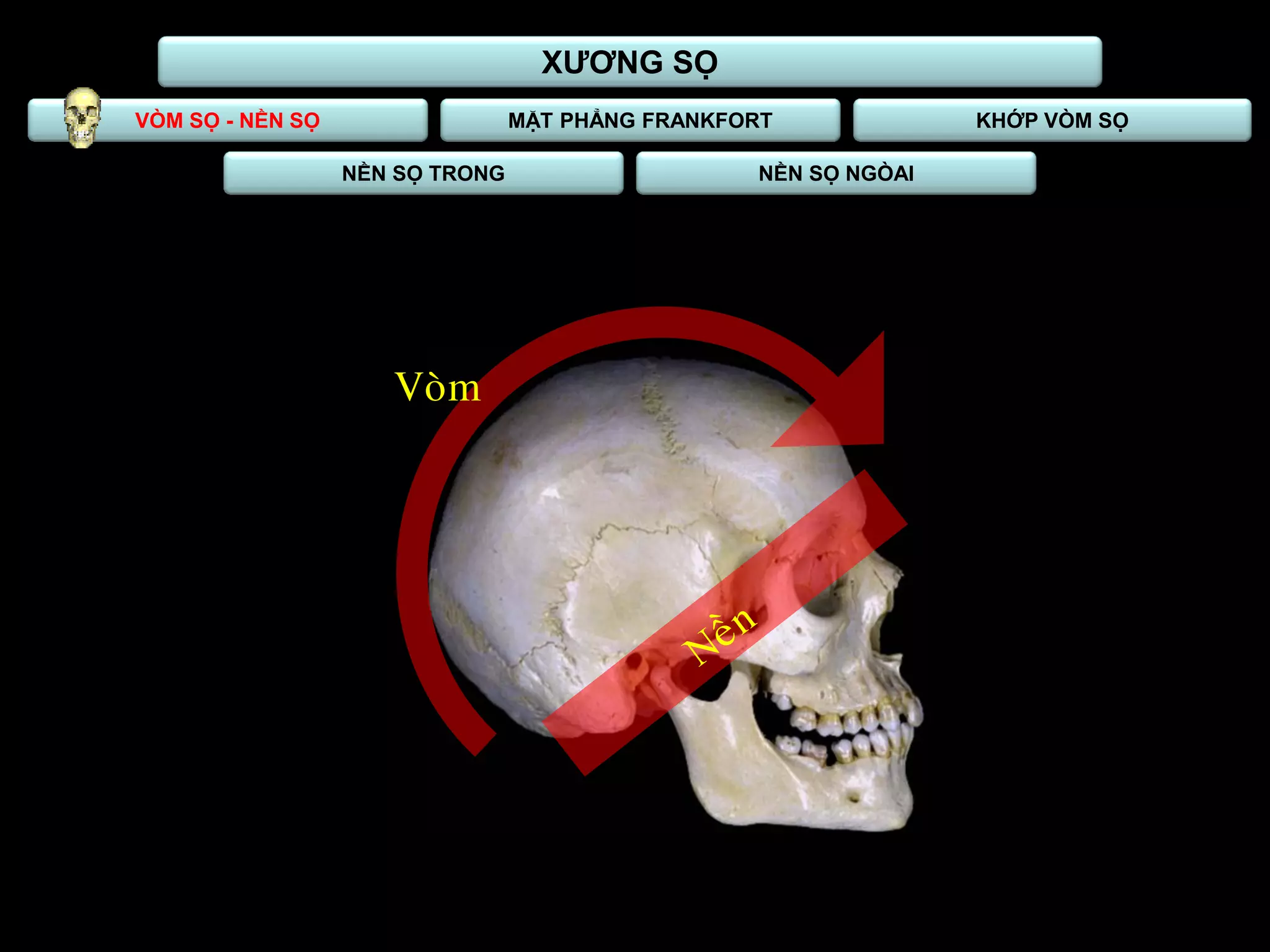 GIẢI PHẪU XƯƠNG ĐẦU MẶT THẦY PHẠM ĐĂNG DIỆU | PDF