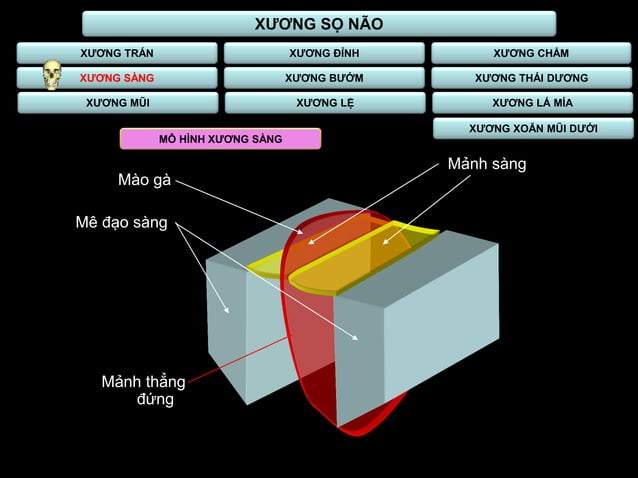 GIẢI PHẪU XƯƠNG ĐẦU MẶT THẦY PHẠM ĐĂNG DIỆU | PDF