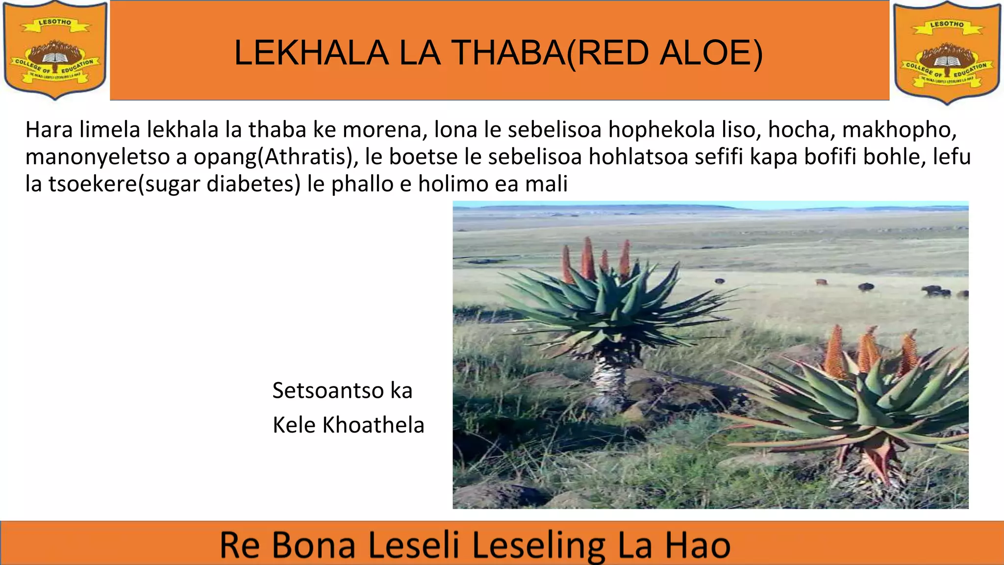 MEFUTA EA LITLAMATLAMA | PPTX