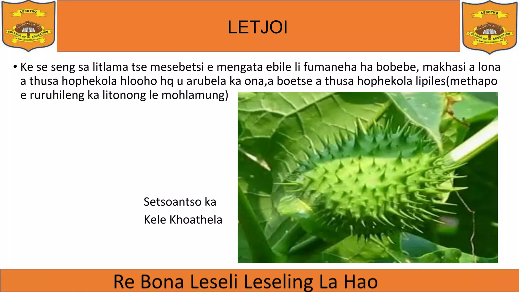 MEFUTA EA LITLAMATLAMA | PPTX