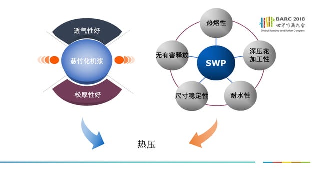 Xu Yue_The status and characteristics of Bamboo Pulp Fiber in ...