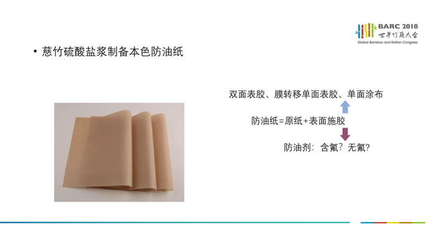 Xu Yue_The status and characteristics of Bamboo Pulp Fiber in ...