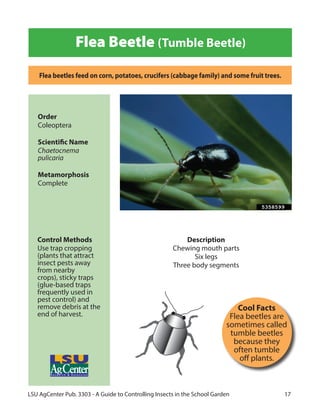 Louisiana Insects Identification