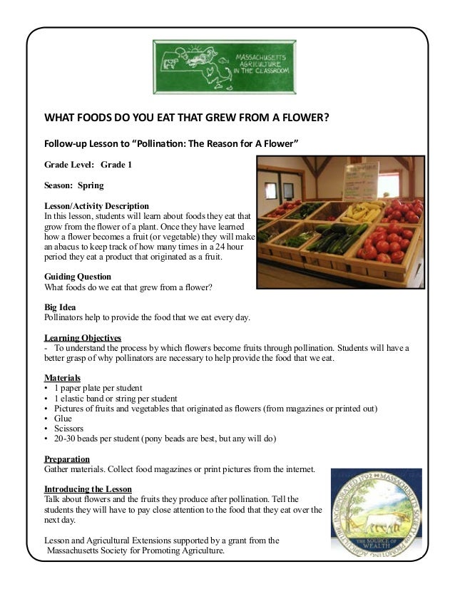 Grade 2 School Garden Lesson Plan Pollination Lesson