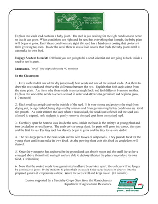Grade 2 School Garden Lesson Plan - Seeds Lesson; What’s in a Seed ...