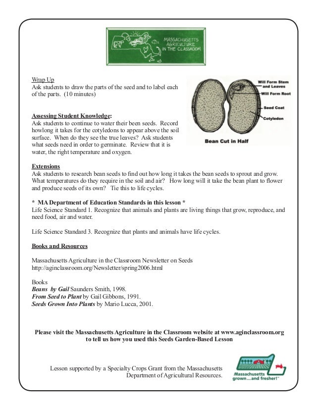 Grade 2 School Garden Lesson Plan - Seeds Lesson; What’s in a Seed
