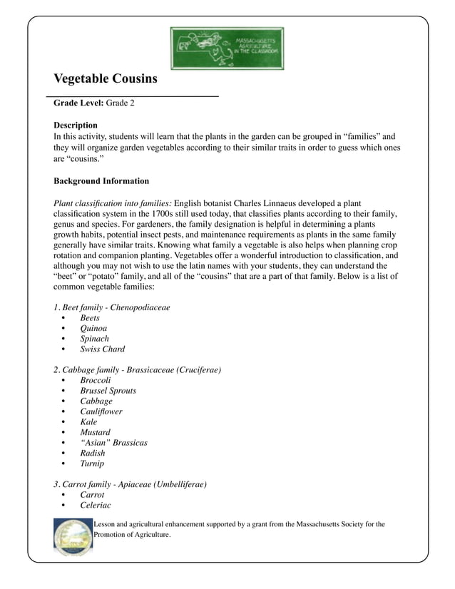 Grade 2 School Garden Lesson Plan - Vegetable Cousins ~ Massachusetts | PDF