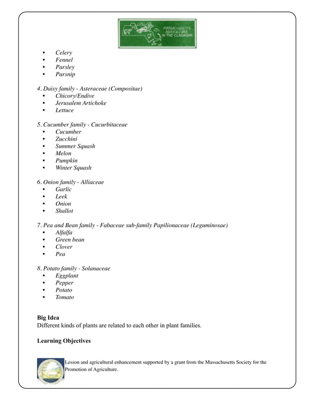 Grade 2 School Garden Lesson Plan - Vegetable Cousins ~ Massachusetts | PDF
