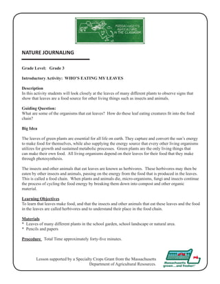 Grade 3 School Garden Lesson Plan - Leaf Lesson; Who’s Eating my Leaves ...
