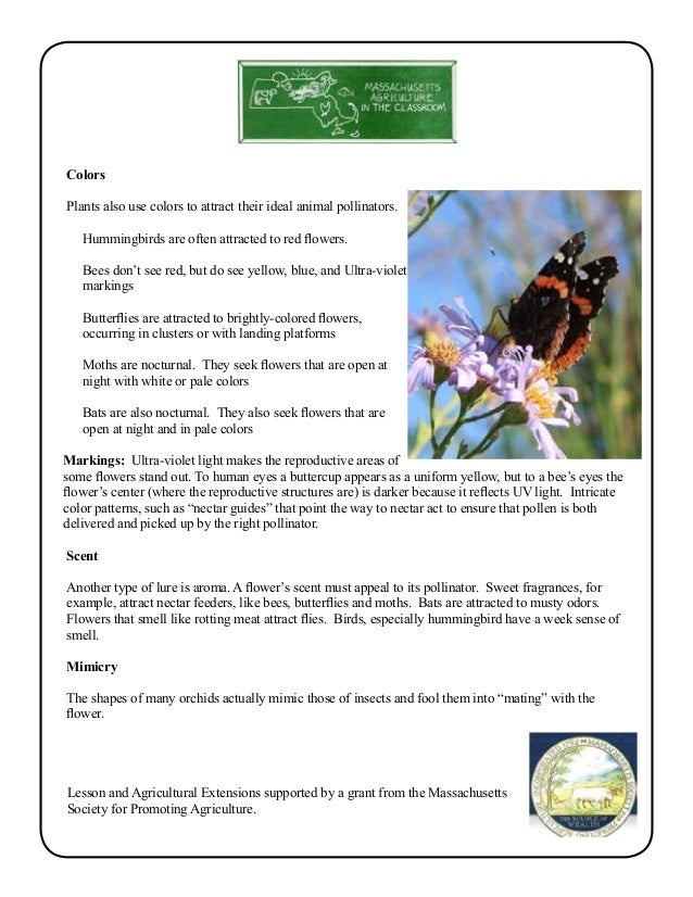 Grade 2 School Garden Lesson Plan Pollination Lesson