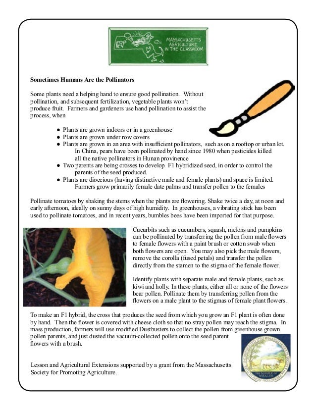 Grade 2 School Garden Lesson Plan Pollination Lesson