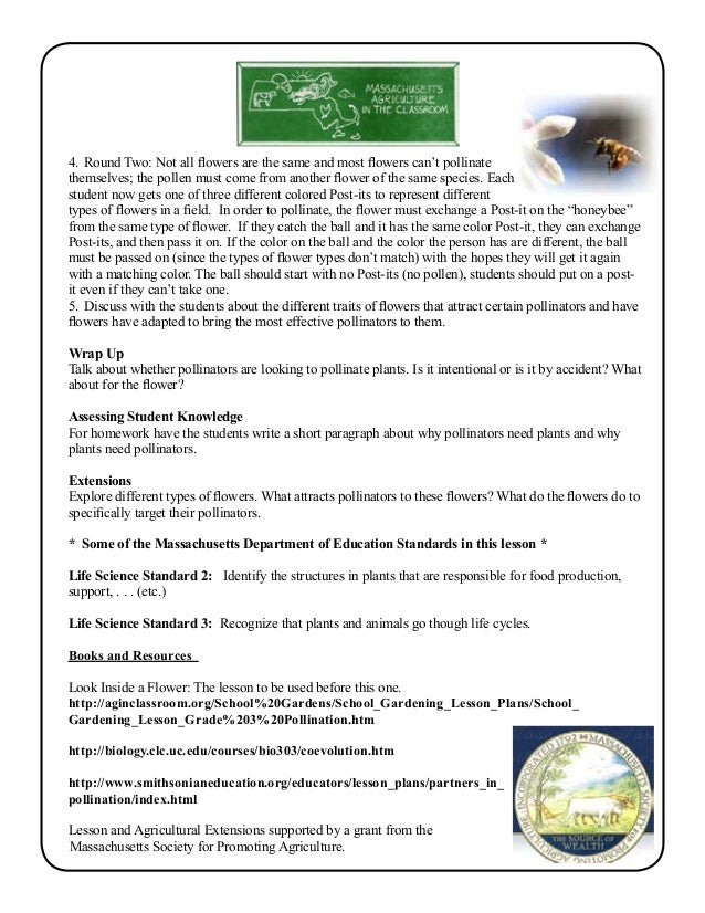 Grade 2 School Garden Lesson Plan Pollination Lesson